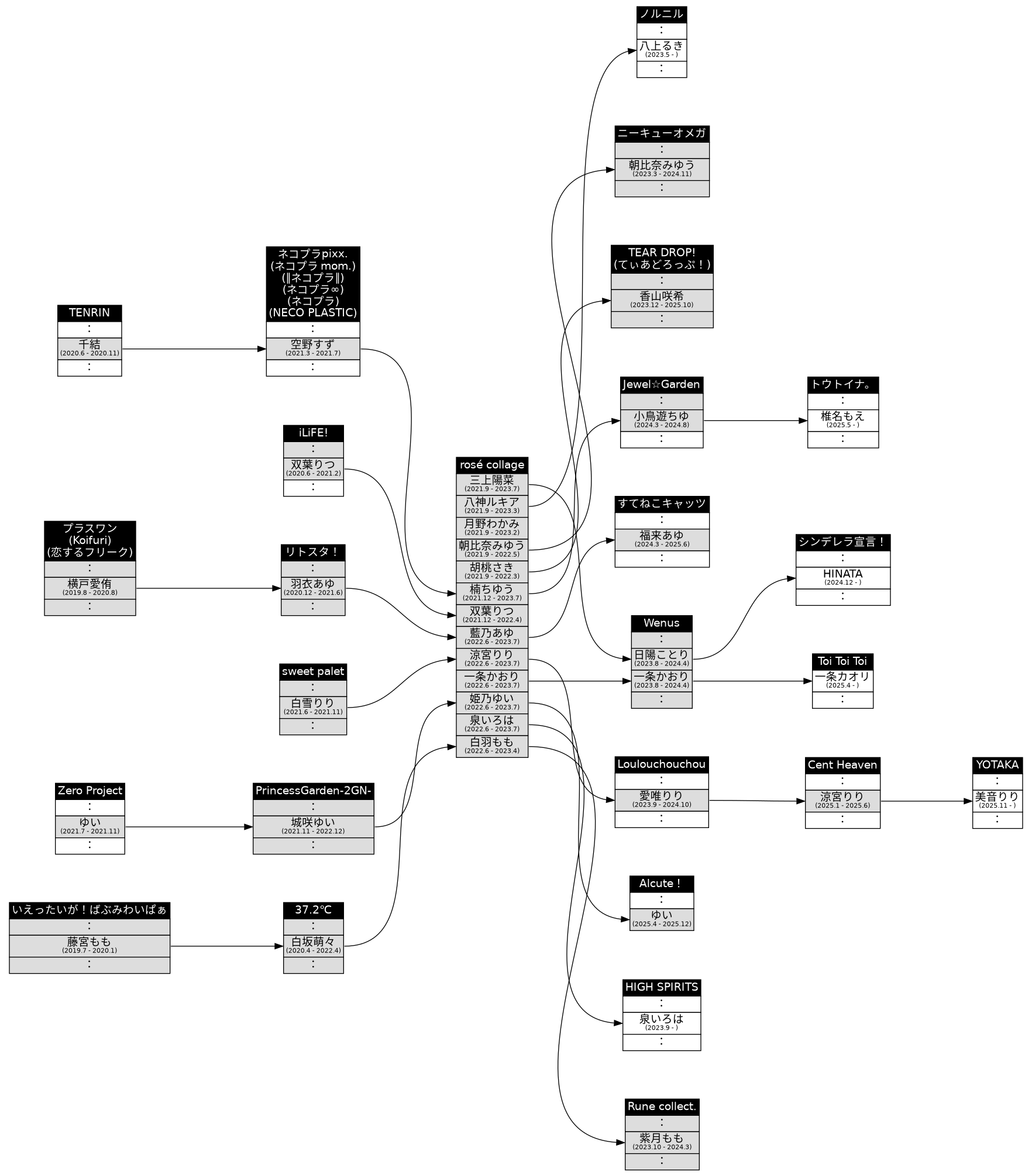 rosé collage | IDOLS DIAGRAM [アイドル相関図]